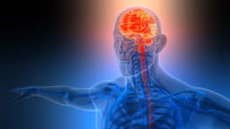 Oponiak mózgu (meningioma) – objawy, przyczyny, powikłania, leczenie ...