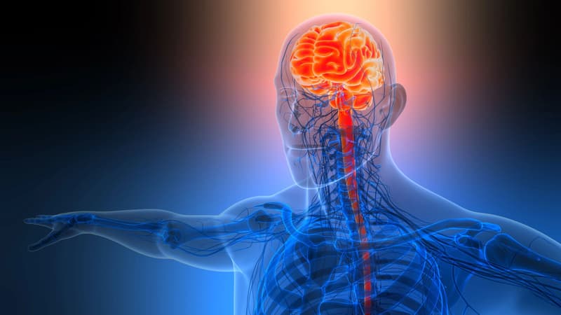 Oponiak mózgu (meningioma) – objawy, przyczyny, powikłania, leczenie ...