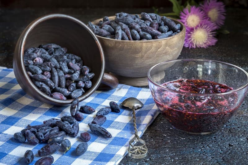 Absynt – skład, właściwości, zastosowanie, skutki uboczne, cena, ile ma ...