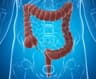 Jelito grube – jak wygląda i gdzie się znajduje? Czy może boleć? Choroby
