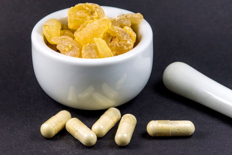 Szalej jadowity (cykuta) – co to jest i jakie są objawy zatrucia?