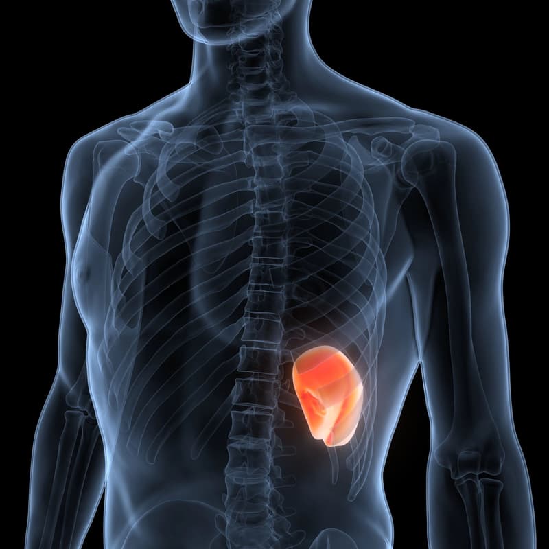 Transplantacja – jakie narządy można przeszczepić? Kto może zostać ...