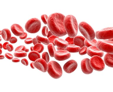 Gliadyna – przeciwciała IgG i IgA – badanie, normy, wyniki, cena