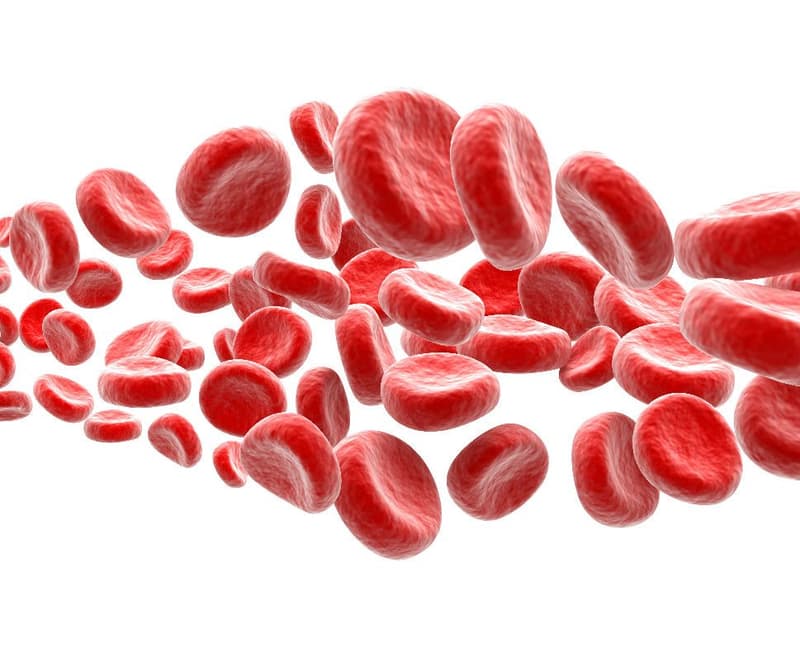 Leukocyty w moczu – co oznaczają? O czym świadczą podwyższone leukocyty ...